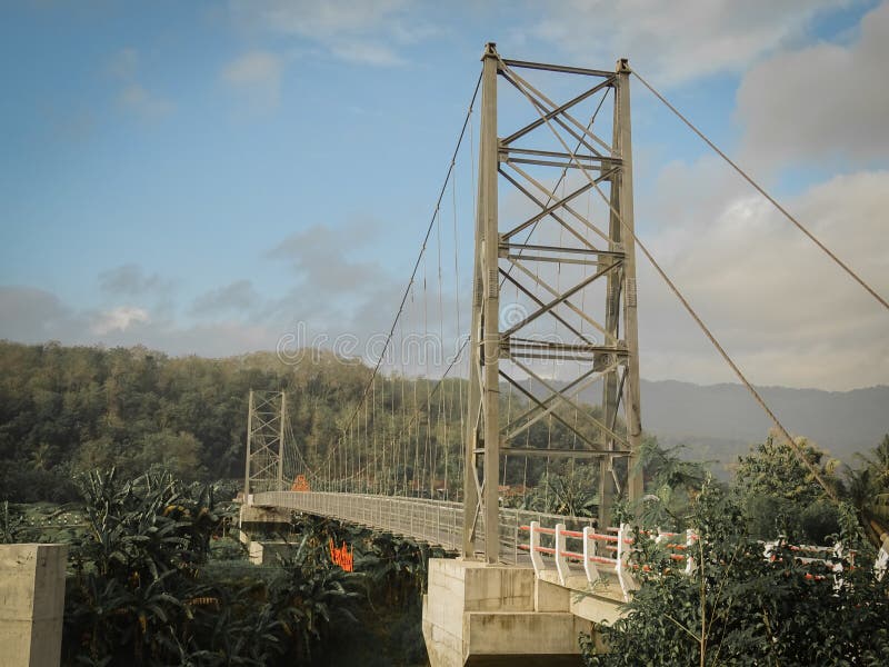 Old Rustic Suspension Bridge Stock Photo - Image of landmark, tree ...