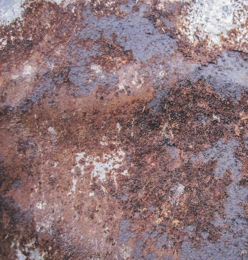 Old rustic texture. stock photo. Image of decorative - 110663742