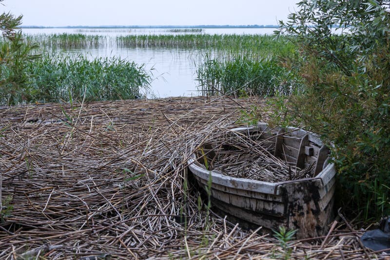 Old Rustic Timber Rowboat Filled with Straws Abandoned Next To a Lake ...