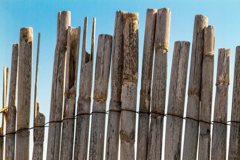 Old Rustic Weathered Bamboo Fence Stock Photo - Image of farm, lumber ...
