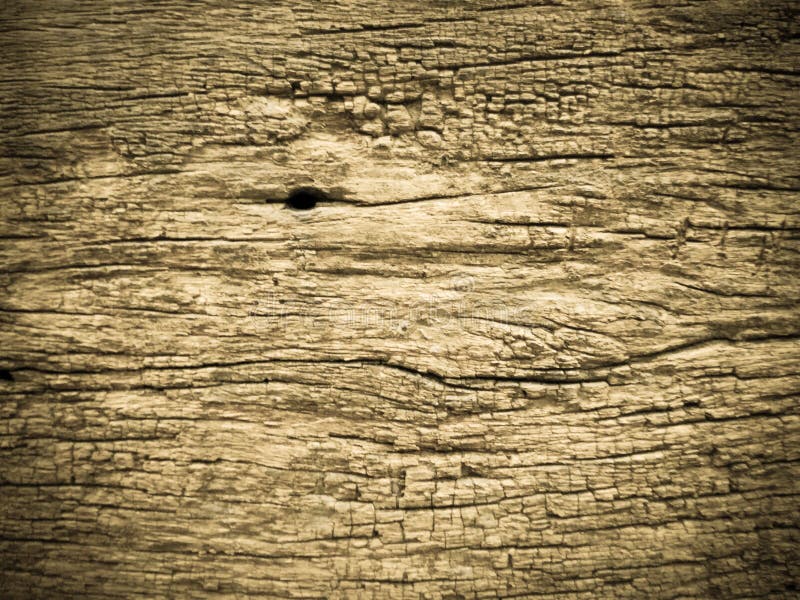 Old rustic wood background stock image. Image of grain - 205260119