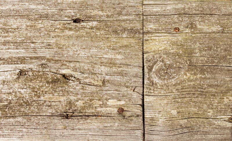 Old rustic wood texture stock photo. Image of abstract - 279088840