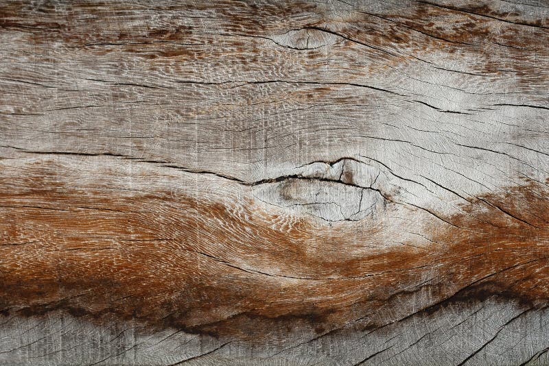 Old rustic wood texture stock photo. Image of grain - 227092192