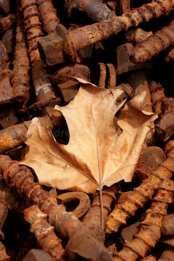 Old and rusty stock image. Image of spiral, brown, bolt - 720767