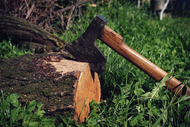 Old Rusty Ax in a Cut Tree stock image. Image of grass - 148158049