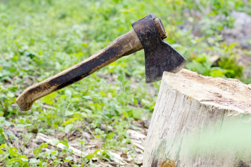 Old rusty ax stock photo. Image of cutting, tree, forest - 71708670