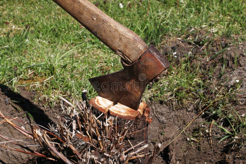 An Old Rusty Ax Sticks Out of a Stump. Stock Photo - Image of lumber ...