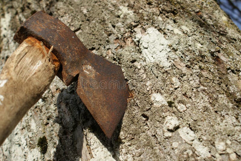 An Old Ax Cut into a Tree Trunk. an Old Rusty Axe. Stock Photo - Image ...