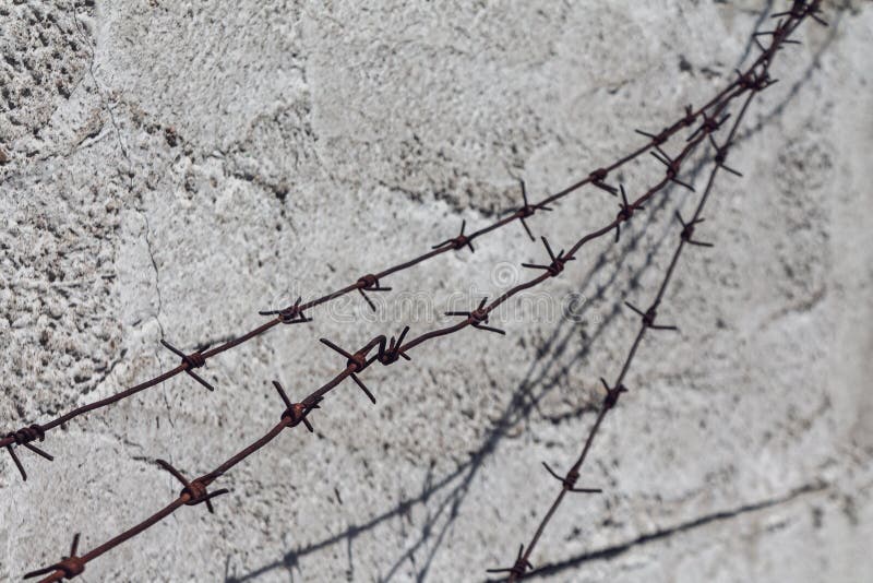 Old Rusty Barbed Wire on the Background of a Concrete Wall Close-up ...