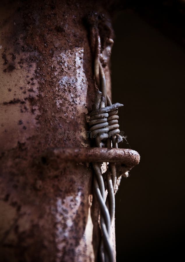 Rusty barbed wire stock photo. Image of rusty, decay - 332078636