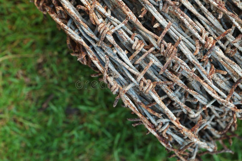 Barbed wire scene. stock image. Image of protection - 108020121