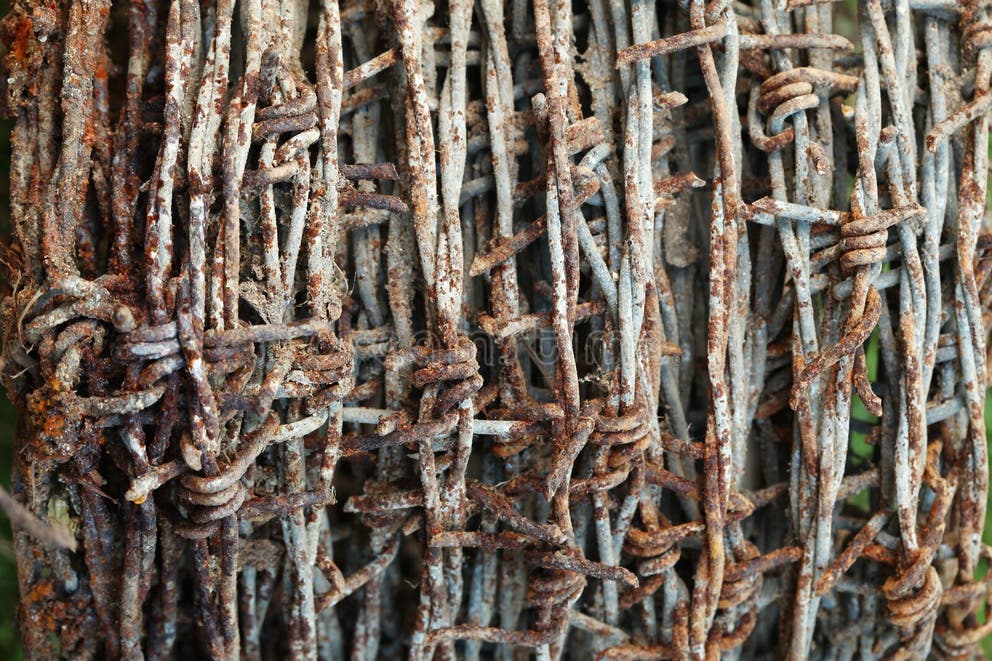 Barbed wire scene. stock image. Image of barb, guard - 108020175