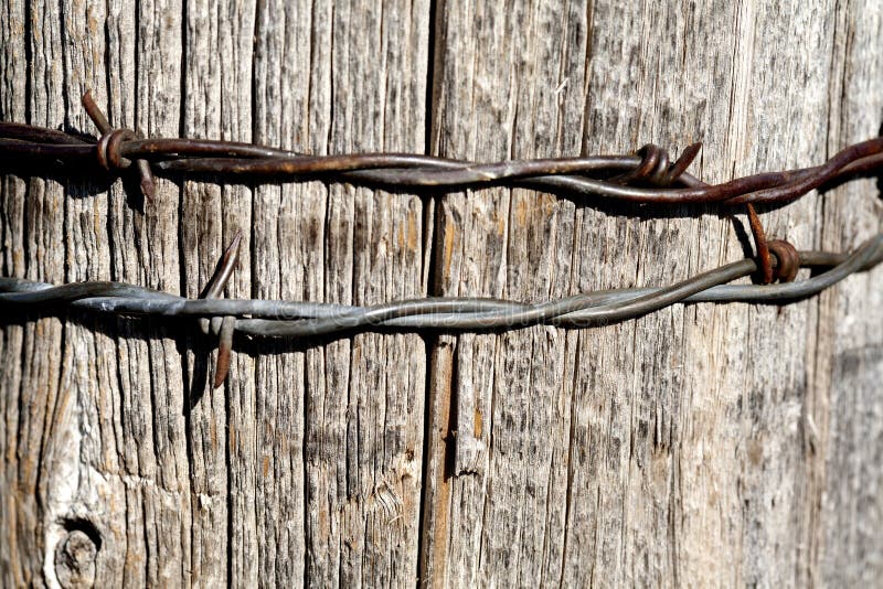 Old rusty barbed wire stock image. Image of texture, green - 95843197