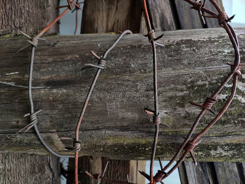 Barbed Wire Wrapped Around the Old Fence Stock Photo - Image of ...