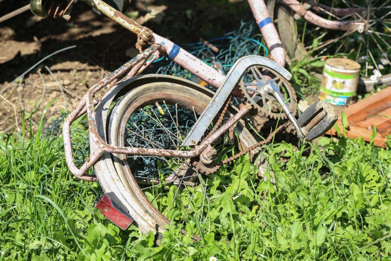 Old Rusty Bicycle in Green Grass Stock Photo - Image of transportation ...