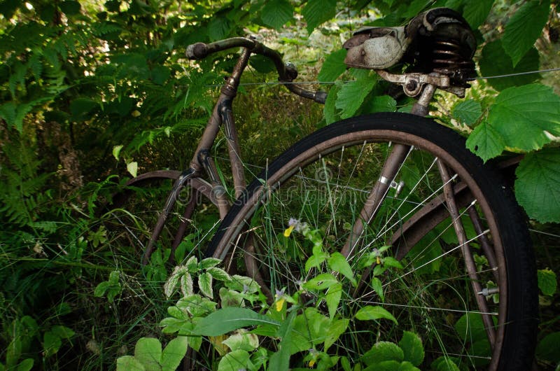 Old Rusty Bike Abandoned in an Overgrown Park Stock Photo - Image of ...