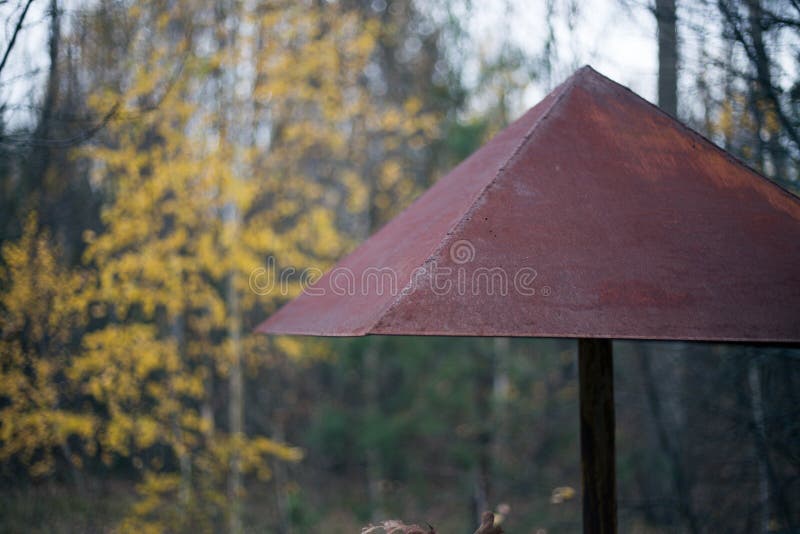 Old Rusty Building in Pripyat in Chernobyl Stock Photo - Image of blue ...