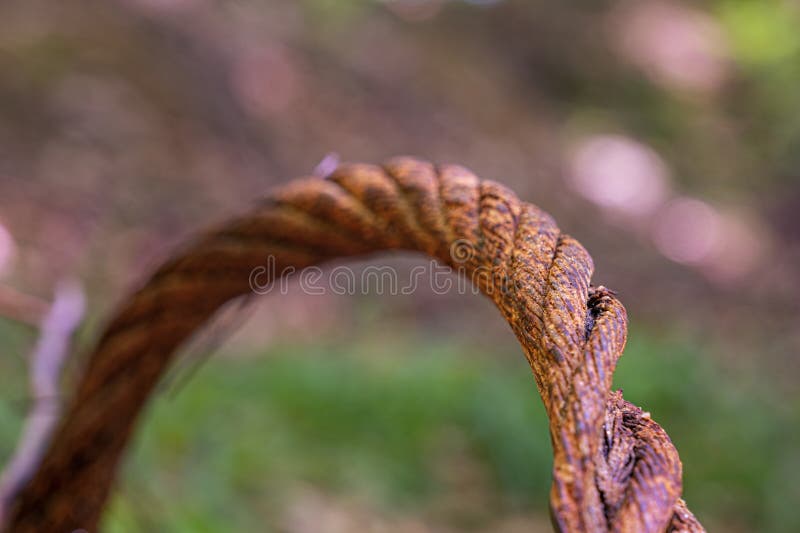 Old Rusty Cable in the Forest Stock Image - Image of abstract, lead ...