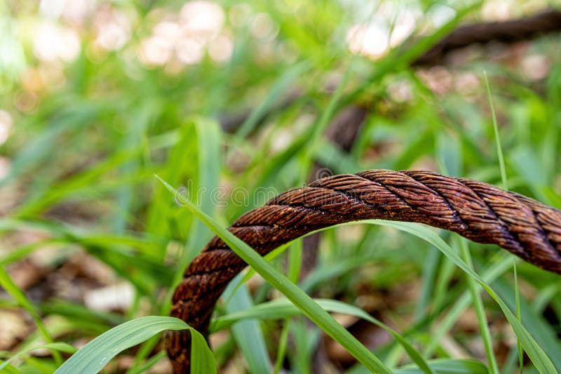 Old Rusty Cable Car in Chiatura, Georgia Stock Photo - Image of soviet ...