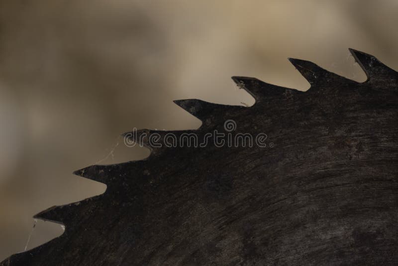 Spider Web Table Circle Mat Stock Photos - Free & Royalty-Free Stock ...