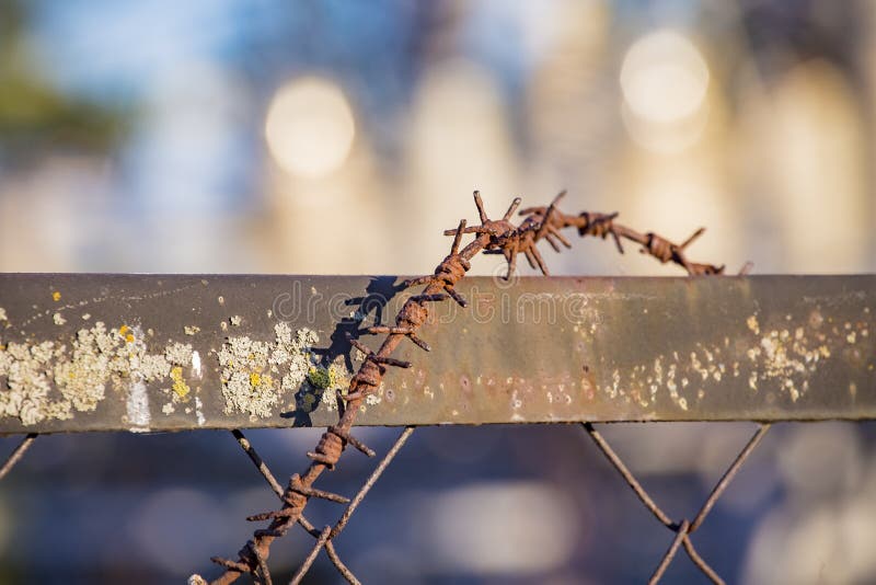 Old Rusty Coiled Barbed Wire Fencing Stock Image - Image of protection ...