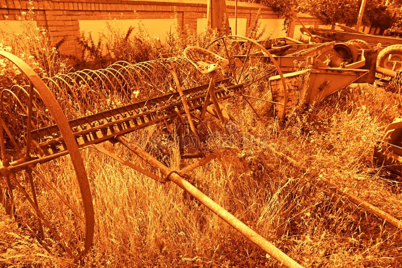 Detail of Rusty Chain and Roller Stock Photo - Image of drive, lift ...