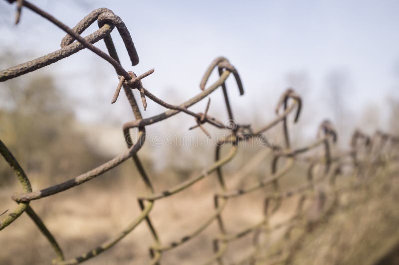 Old Rusty Fence of Metal Mesh and Barbed Wire. Stock Image - Image of ...
