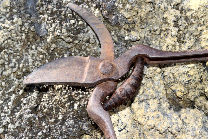 Old rusty garden shears stock image. Image of iron, dirty - 90062579