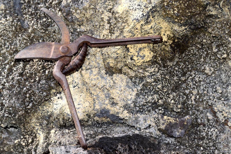 Old rusty garden shears stock image. Image of handle - 90062795