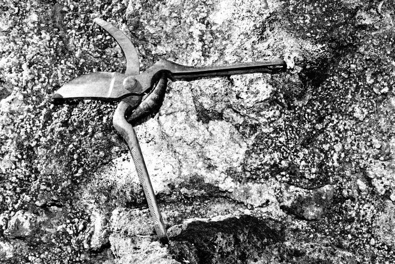 Old rusty garden shears stock photo. Image of industry - 90132134