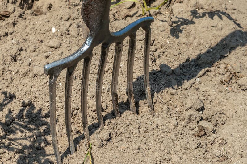 Old Rusty Garden Tools Pitchfork in Spring Soil. Garden Tool on a Sunny ...
