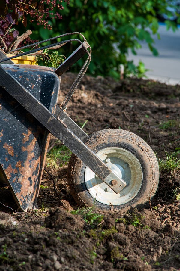 Old Rusty Garden Wheelbarrow in a Garden Work Site, No People Stock ...