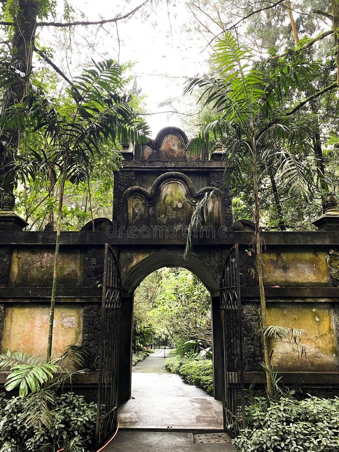 Old Rusty Gate in the Middle of the Jungle Stock Photo - Image of trees ...