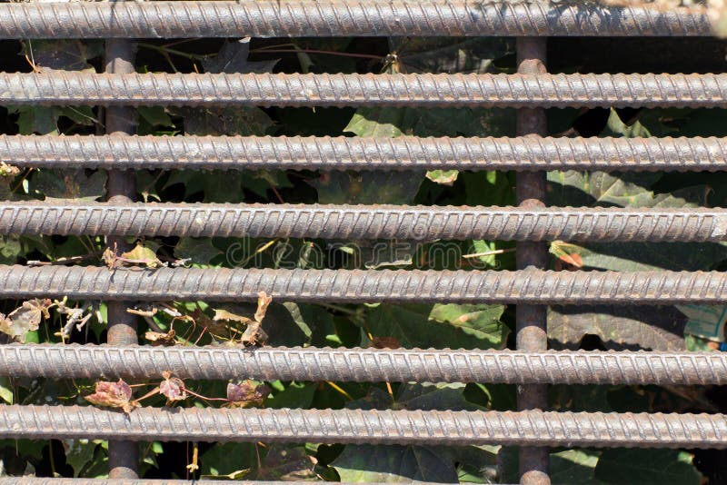Old and Rusty Iron Bars. in the Background Dried Leaves and Gras Stock ...