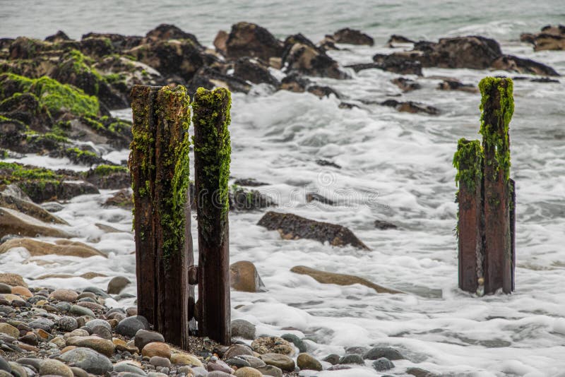 Old Rusty Iron in the Beach Stock Photo - Image of travel, ocean: 196798622