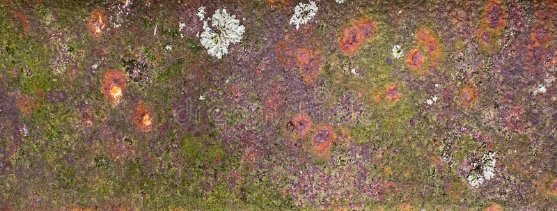 Old Rusty Iron Metal Plate with Lichen Stock Photo - Image of decor ...