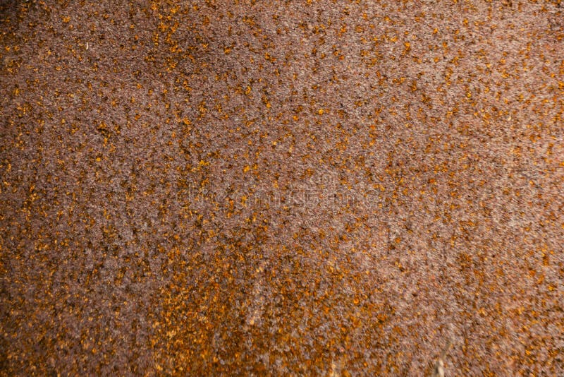 Old Rusty Iron Plate Texture Stock Image - Image of embroidered, brown ...