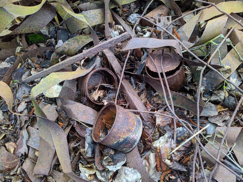 Old and Rusty Metal Garbage Dump in the Forest Stock Image - Image of ...