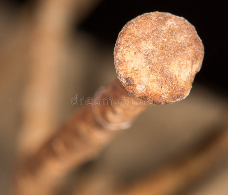 Old rusty nail. close-up stock photo. Image of alloy - 100914166