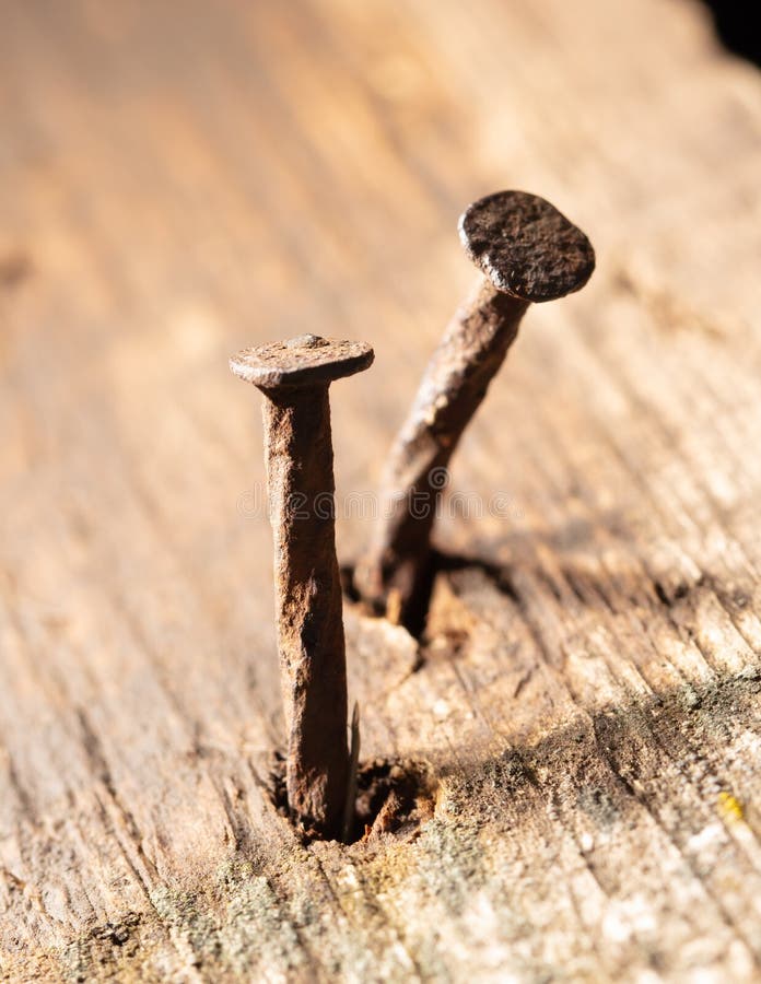An Old Rusty Nail Driven into a Wooden Board. Stock Photo - Image of ...