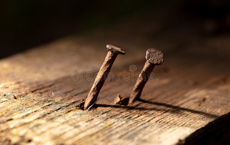 An Old Rusty Nail Driven into a Wooden Board. Stock Image - Image of ...