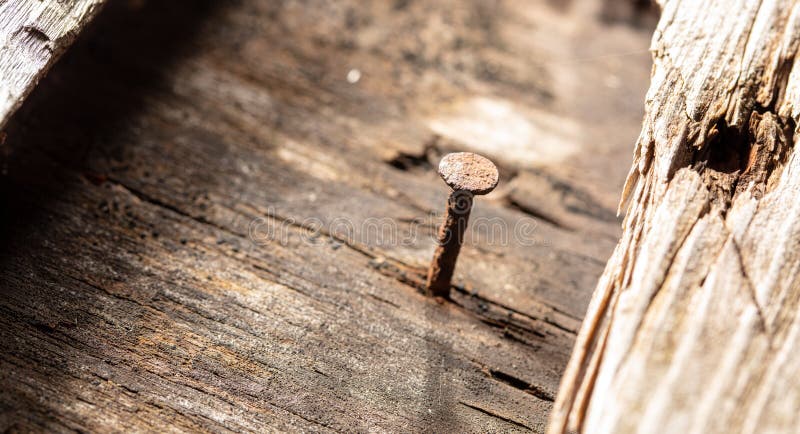 An Old Rusty Nail Driven into a Wooden Board. Stock Photo - Image of ...