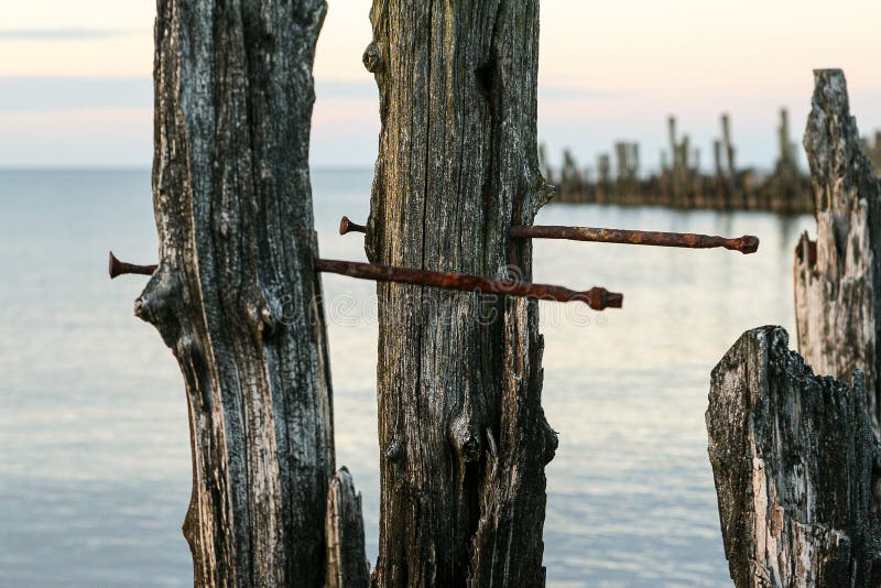 Old Rusty Nails in an Old Timber Pile on a Beach Stock Image - Image of ...