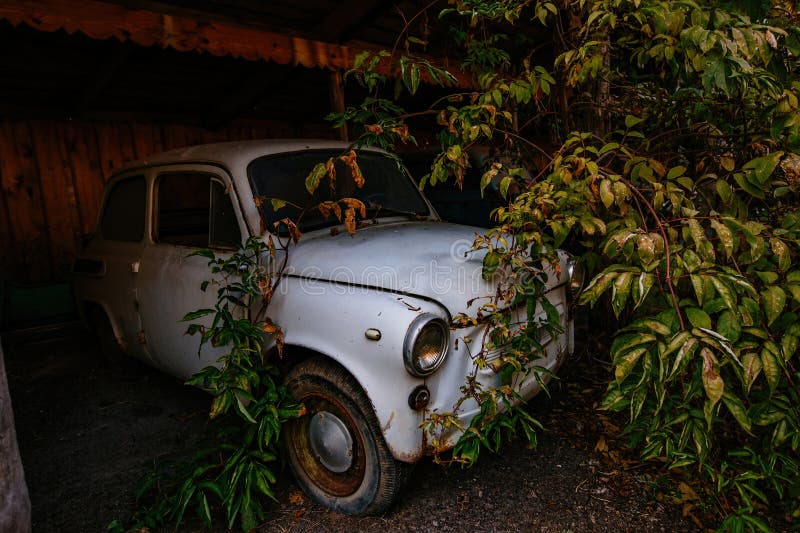 Old Rusty Overgrown Abandoned Soviet Retro Car Stock Photo - Image of ...