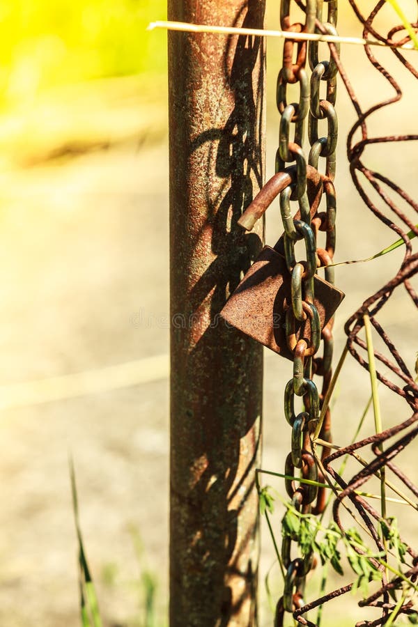 Old Rusty Padlock an Old Gate Stock Image - Image of open, lock: 59531249