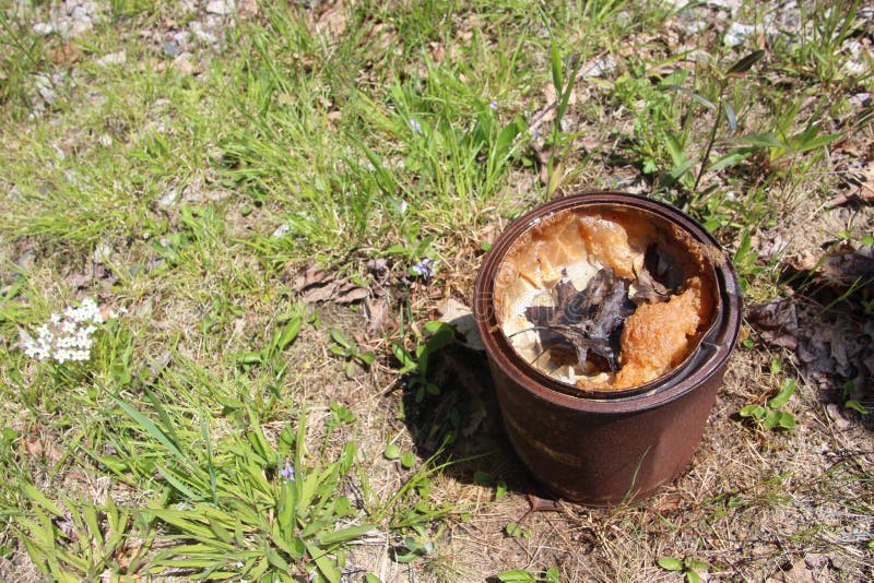 Old Rusty Paint Can stock photo. Image of grass, shape - 47147250