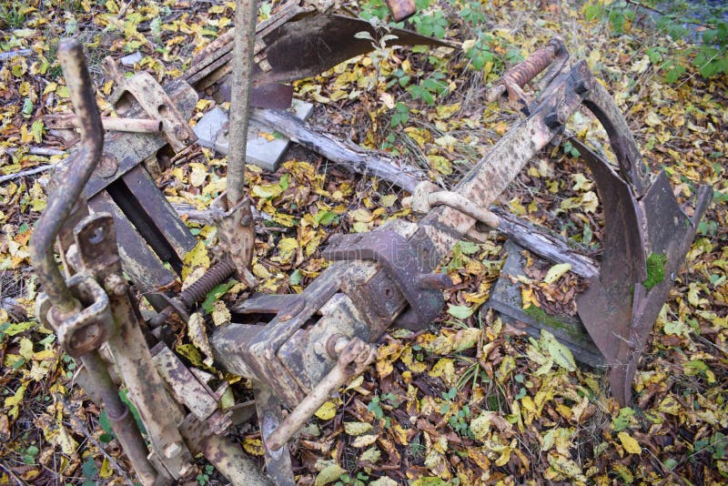Old Rusty Plow in the Forest Stock Image - Image of autumn, farm: 239024729