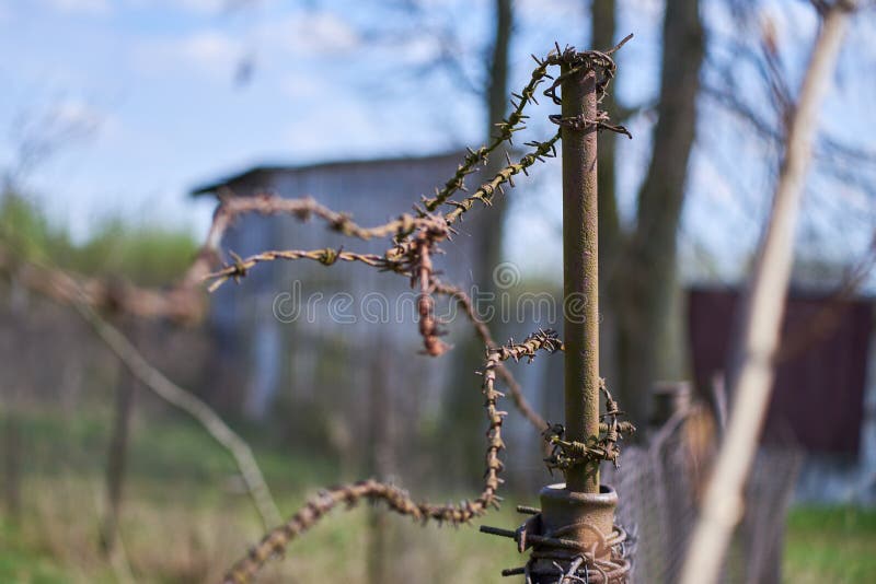 Old Rusty Post with Barbed Wire Stock Image - Image of barbed, sharp ...