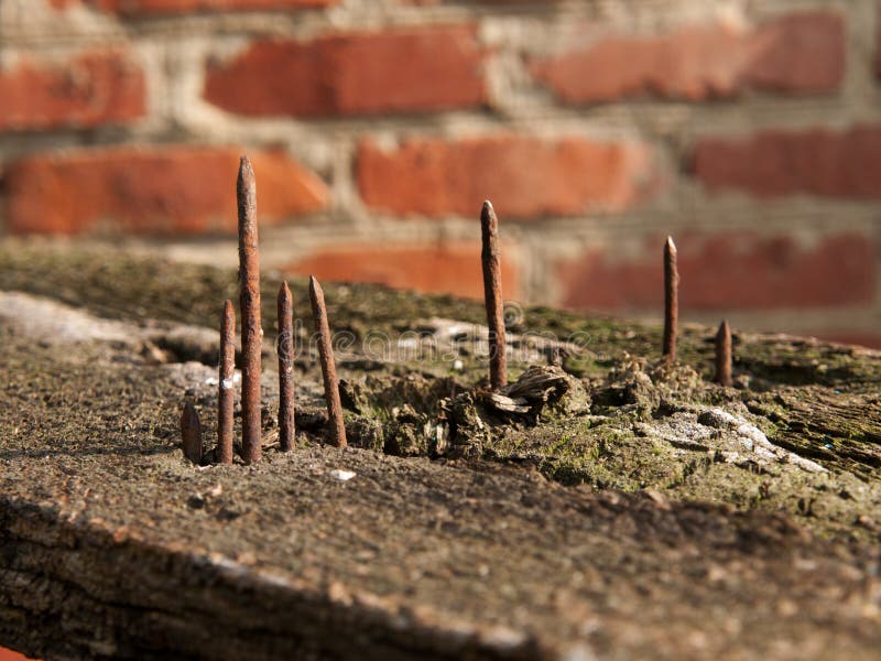 Old Weathered Wood Of A Barn With Rusty Nails Stock Photo - Image of ...