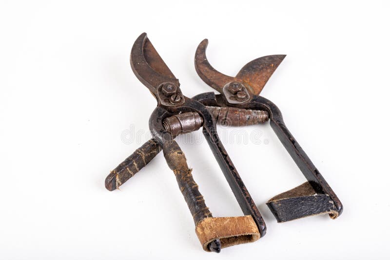 Old Rusty Pruning Shears. Accessories for Trimming Tree Branches and ...